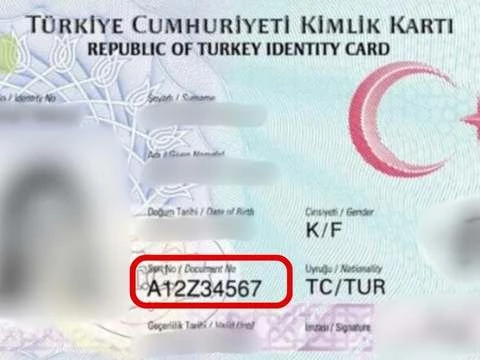 Ehliyet Numarası Nerede Yazıyor? - Borlease